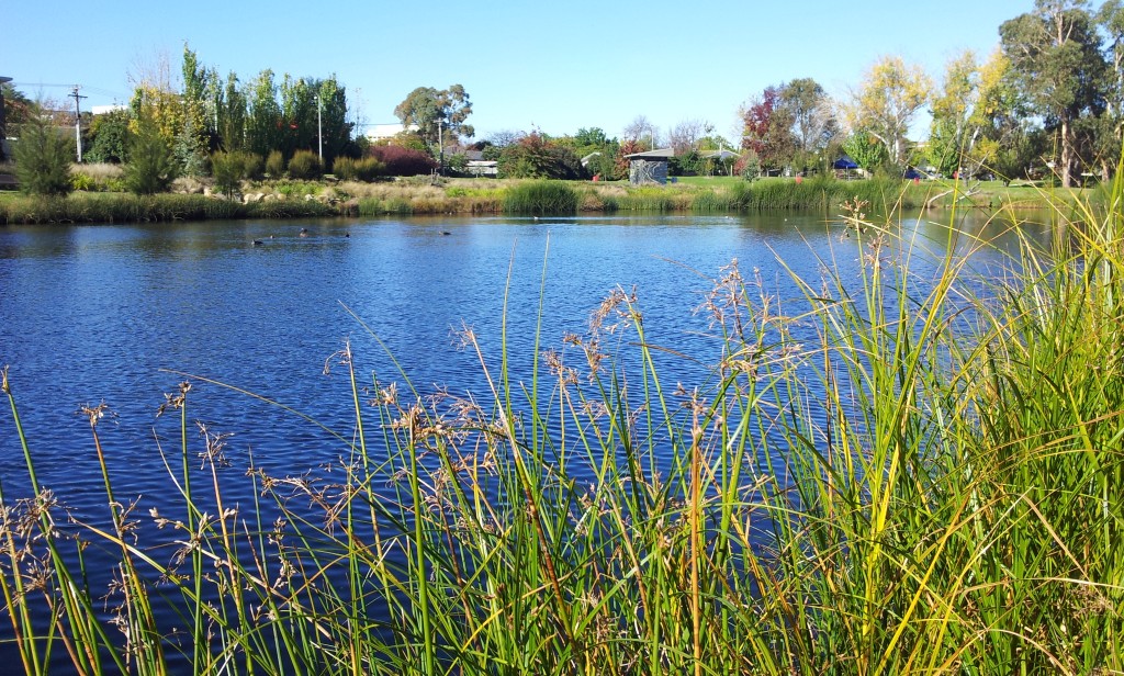 Survey Results – Lyneham Community Association