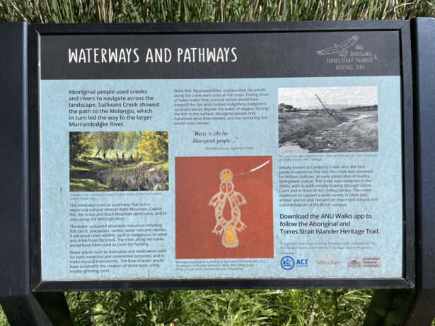 10 – Lyneham Wetland – Lyneham Community Association